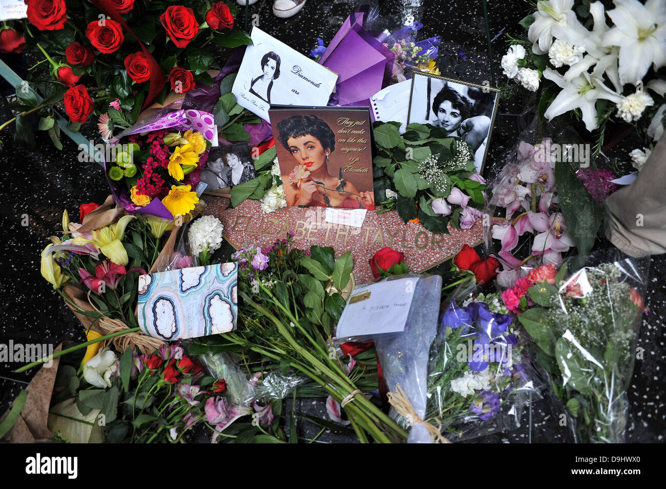 Elizabeth Taylor's Hollywood Walk of Fame star is adorned with flowers ...