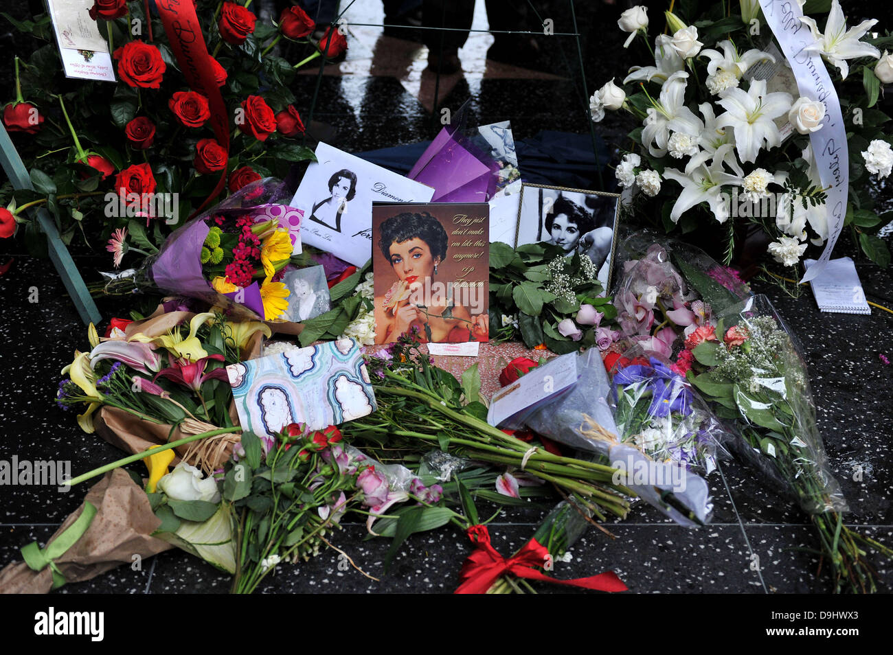 Elizabeth Taylor's Hollywood Walk of Fame star is adorned with flowers ...