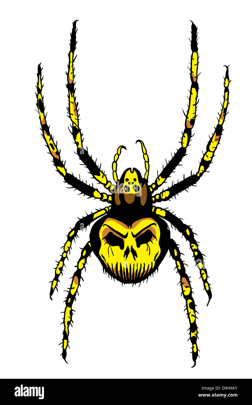Blue spider icon hi-res stock photography and images - Alamy