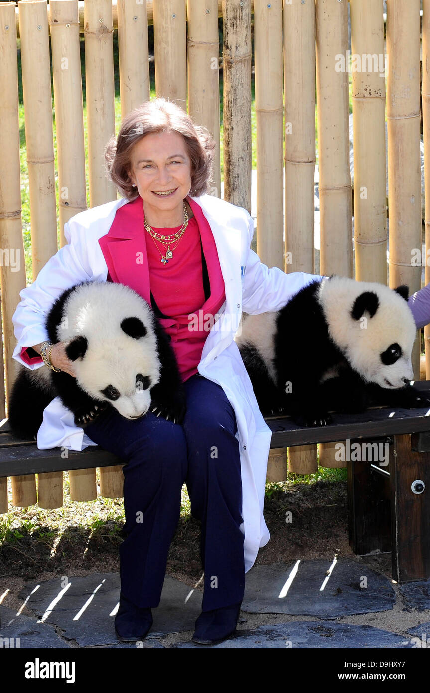 Queen Sofia of Spain with Madrid Zoo's twin pandas on the first photoshoot since their birth ...