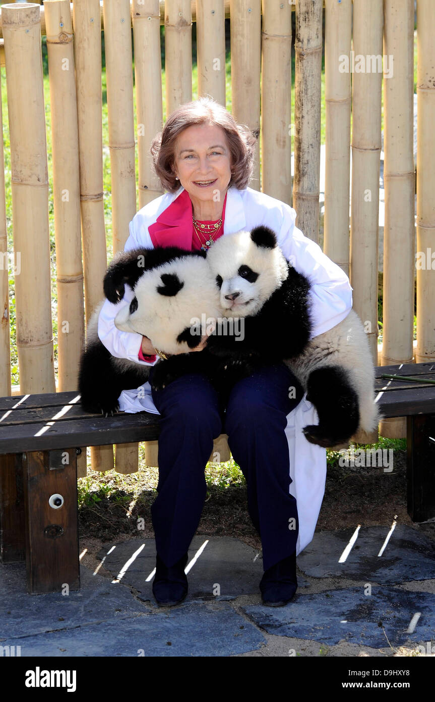 Queen Sofia of Spain with Madrid Zoo's twin pandas on the first ...