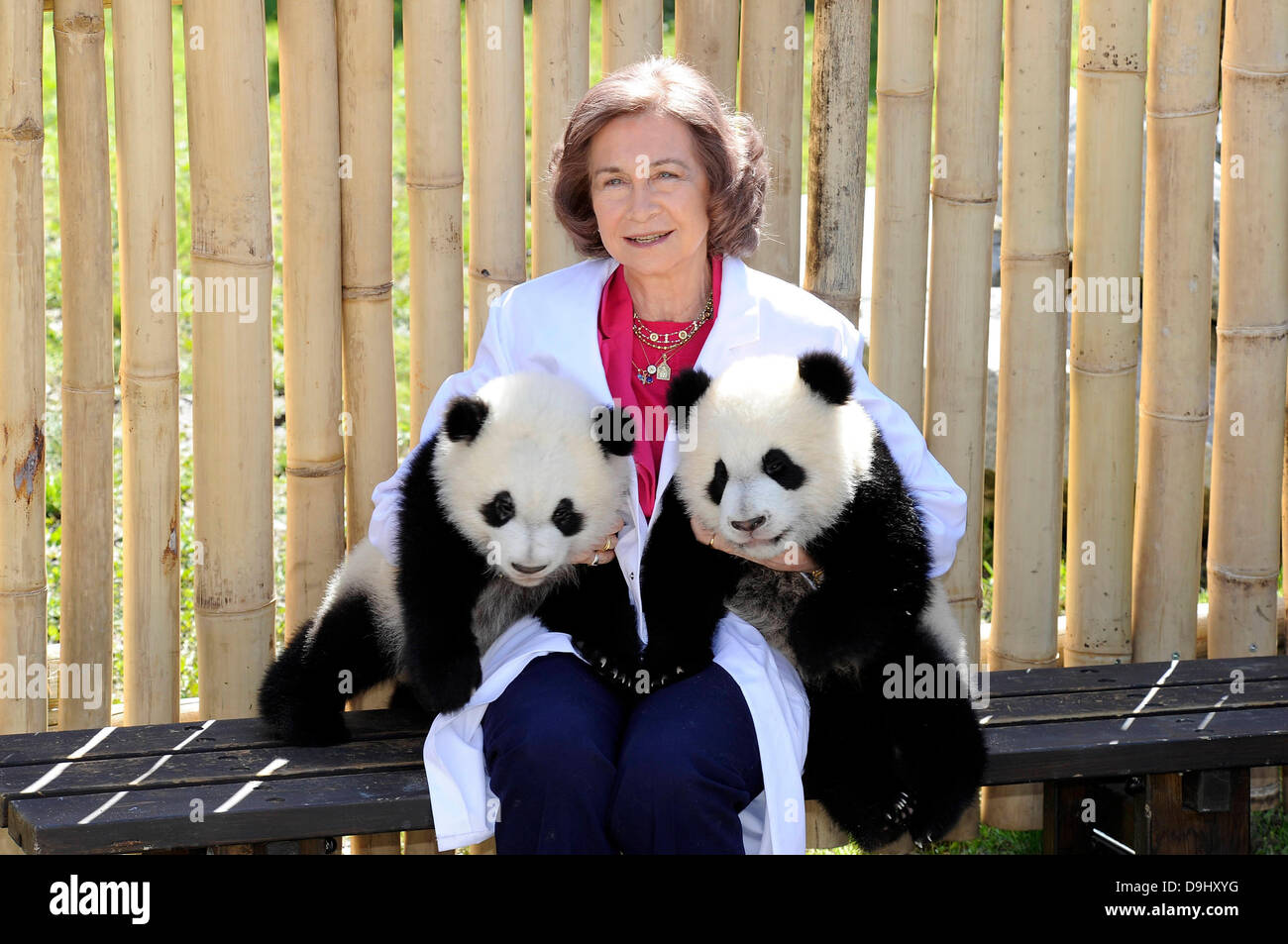 Queen Sofia of Spain with Madrid Zoo's twin pandas on the first ...