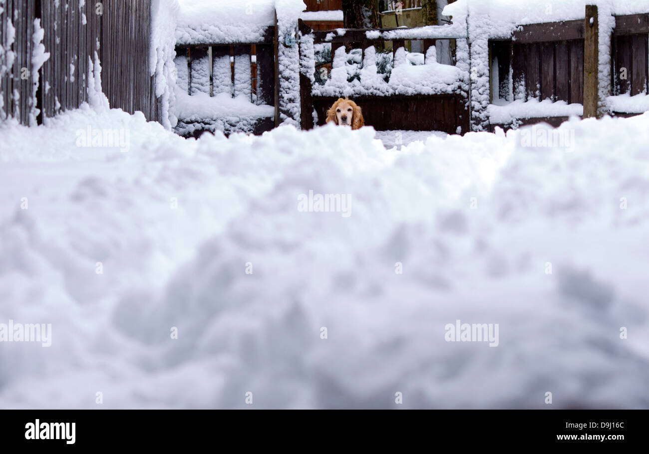 Hiding snow hi-res stock photography and images - Alamy