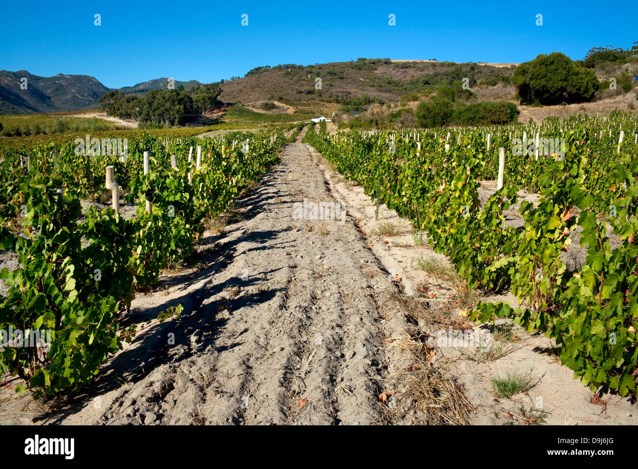 28 60 hi-res stock photography and images - Alamy