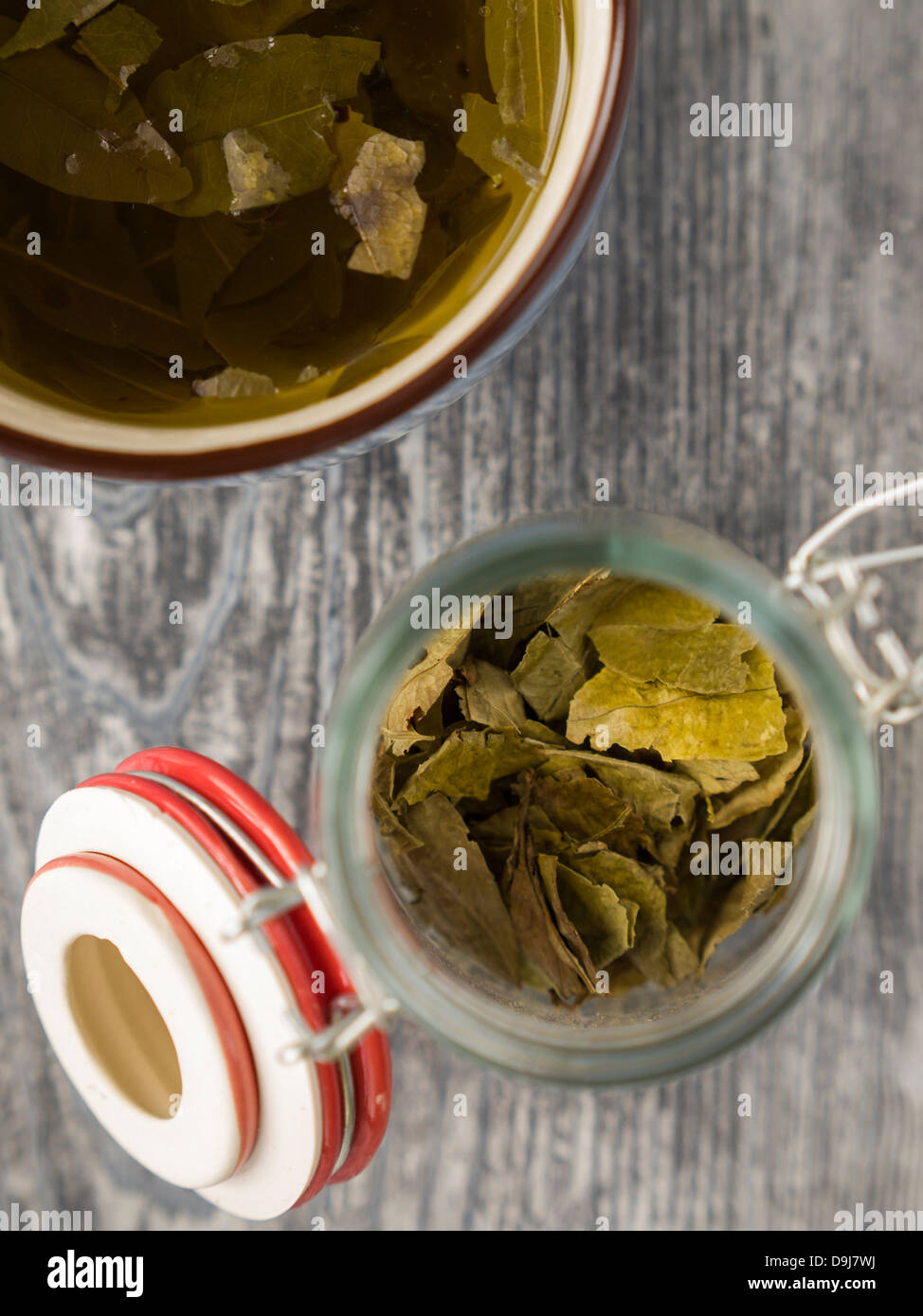 Coca leaf tea, a popular drink in some of the South American countries ...