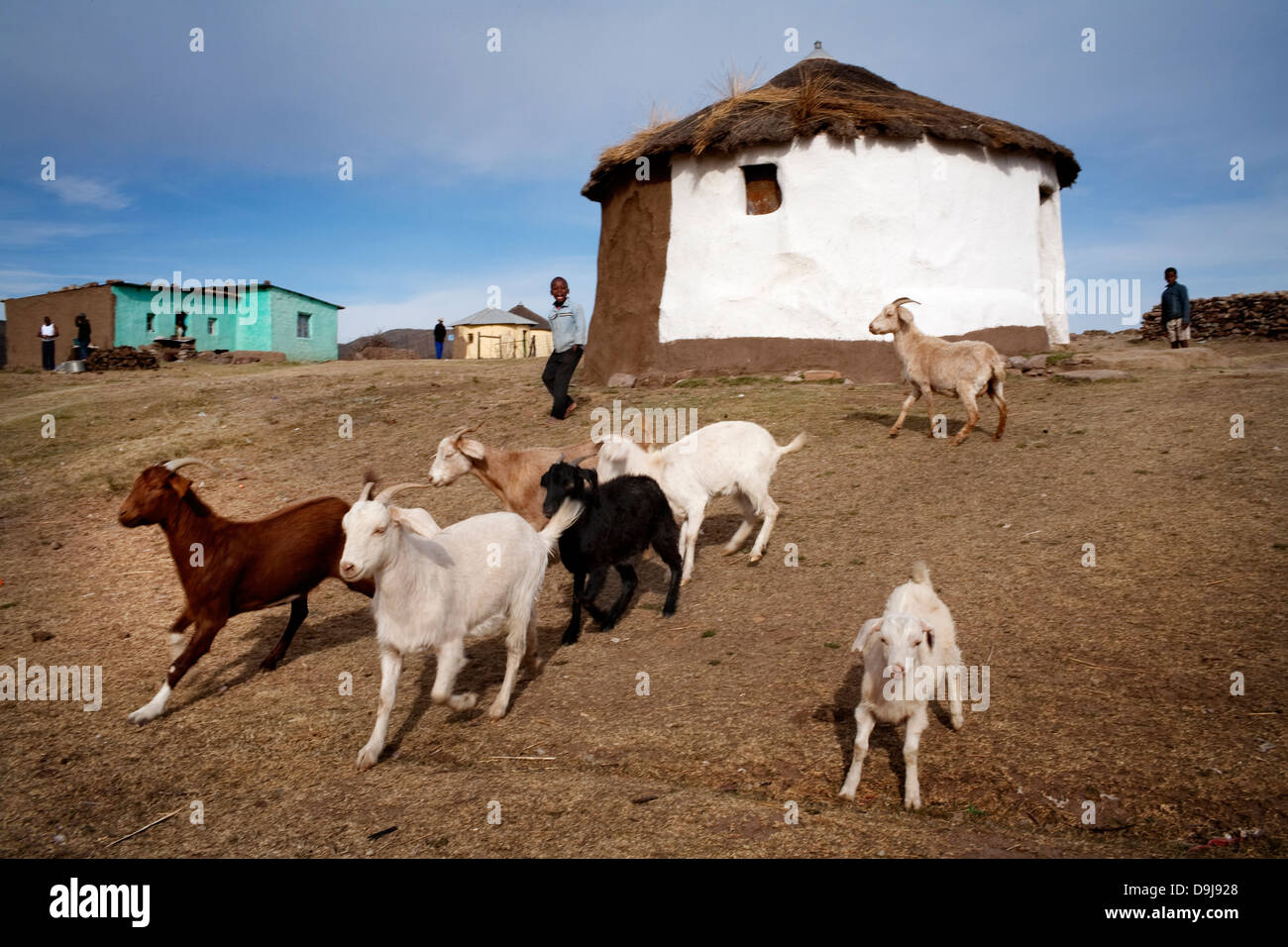 Rondavel hi-res stock photography and images - Alamy