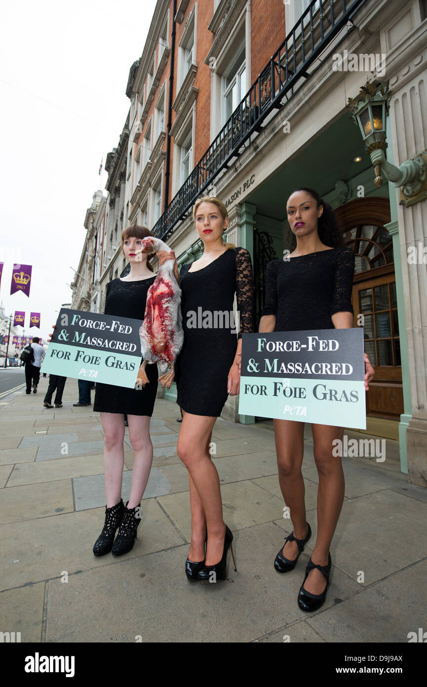 Peta models hi-res stock photography and images - Alamy