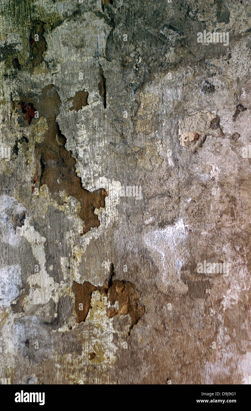 Full screen high resolution shot of wall. Good for a texture or a ...