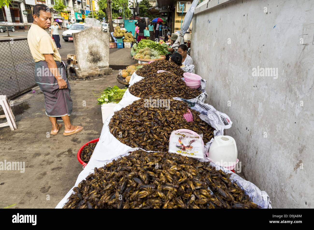 Sources of protein hi-res stock photography and images - Alamy