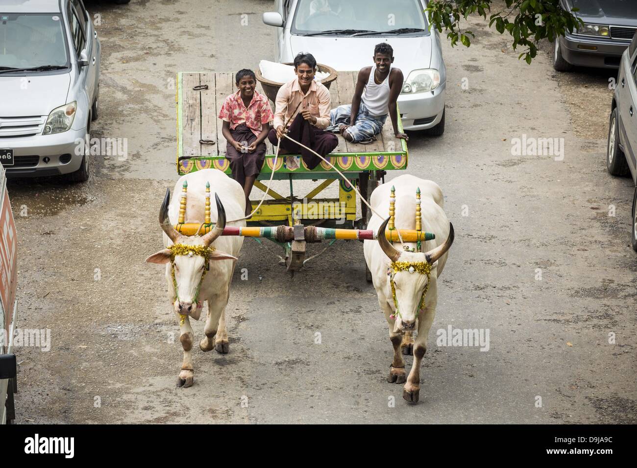 Ox driven cart hi-res stock photography and images - Alamy