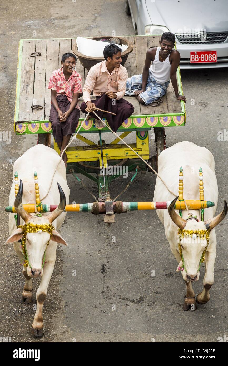 Ox driven cart hi-res stock photography and images - Alamy