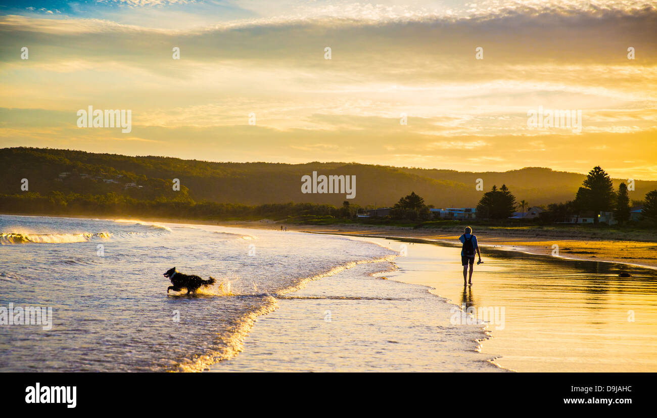 Beach sunset dog hi-res stock photography and images - Alamy