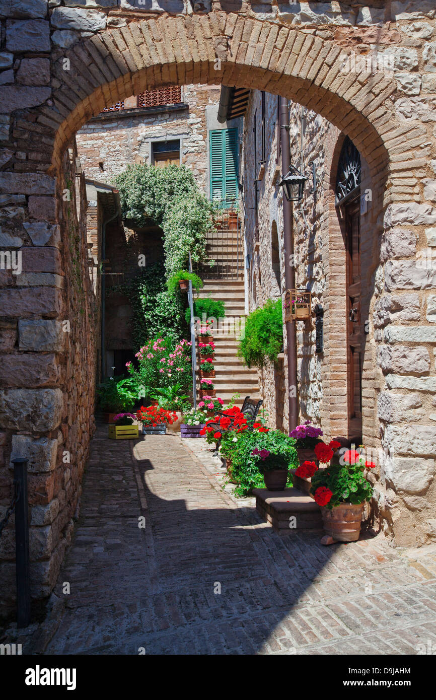 view of spello medieval town in italy Stock Photo - Alamy