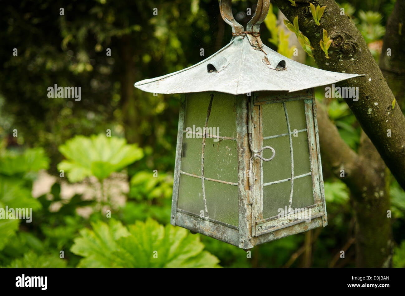 Lamp hanging from tree hi-res stock photography and images - Alamy