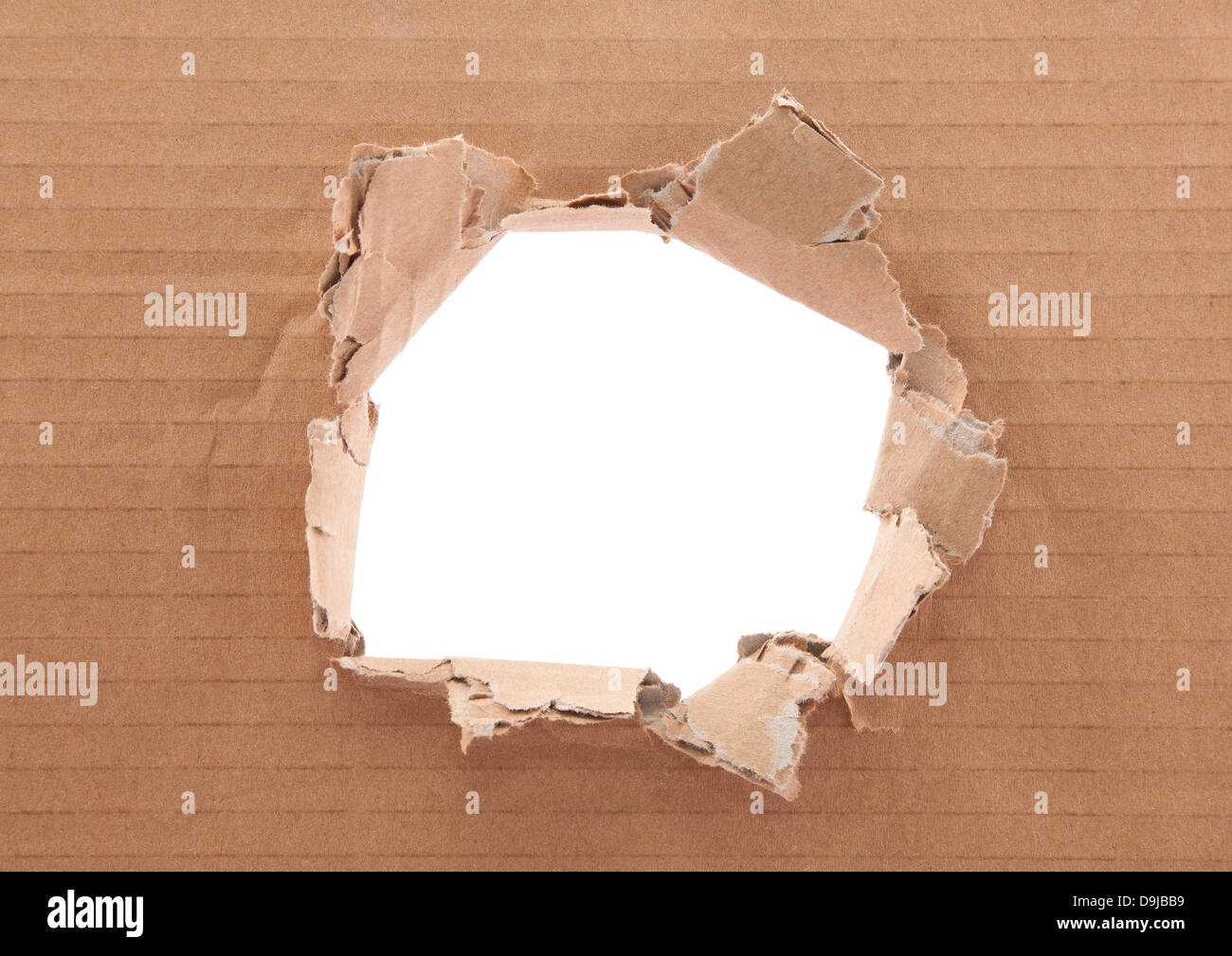 Ripped hole in cardboard on white background Stock Photo - Alamy