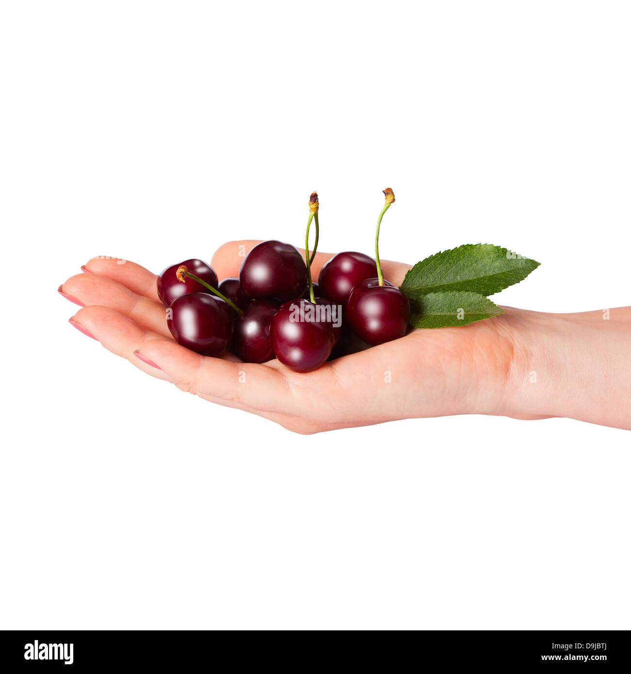 perfect sweet cherries with leaf isolated on white background Stock ...