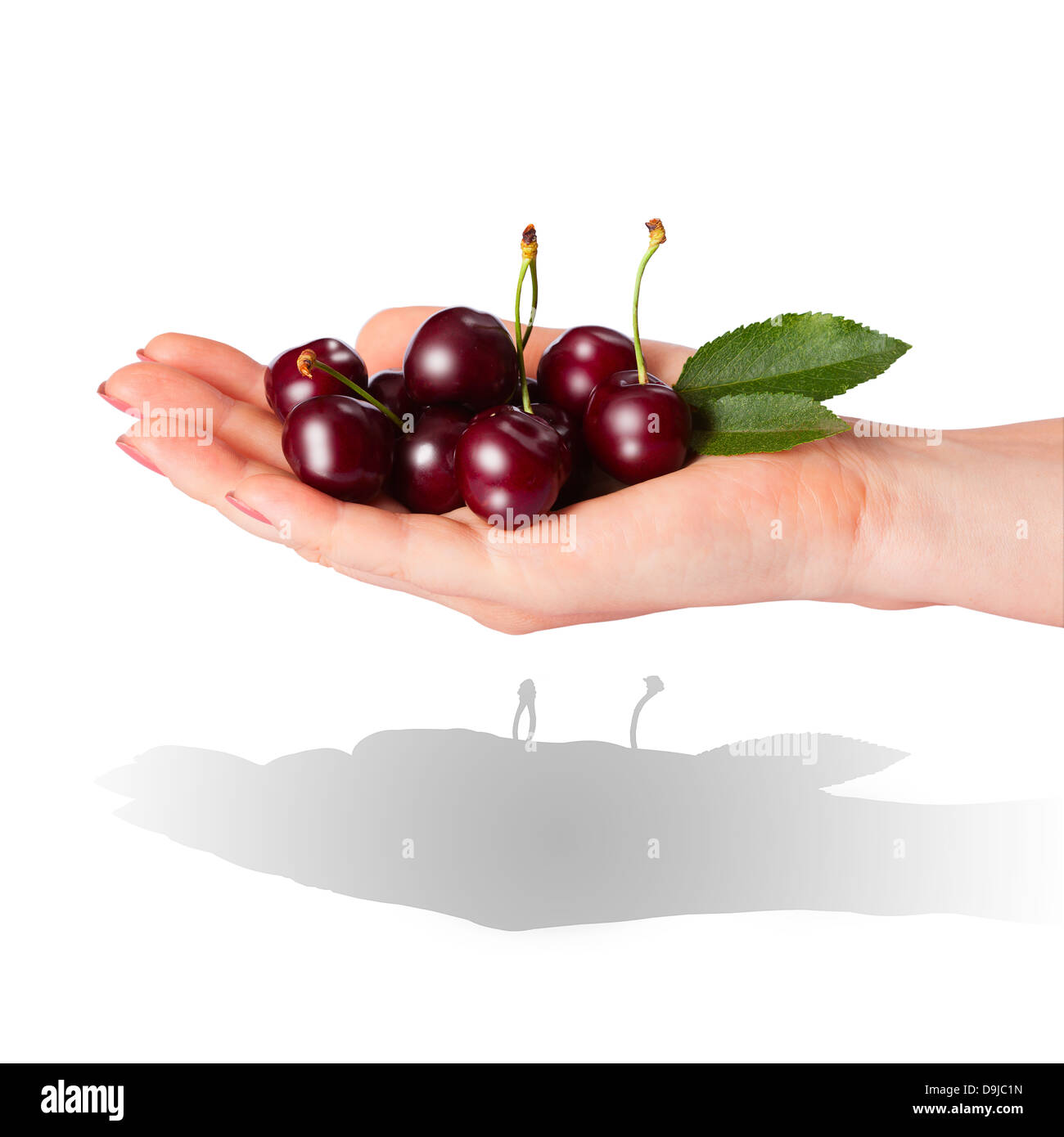 perfect sweet cherries with leaf isolated on white background Stock ...