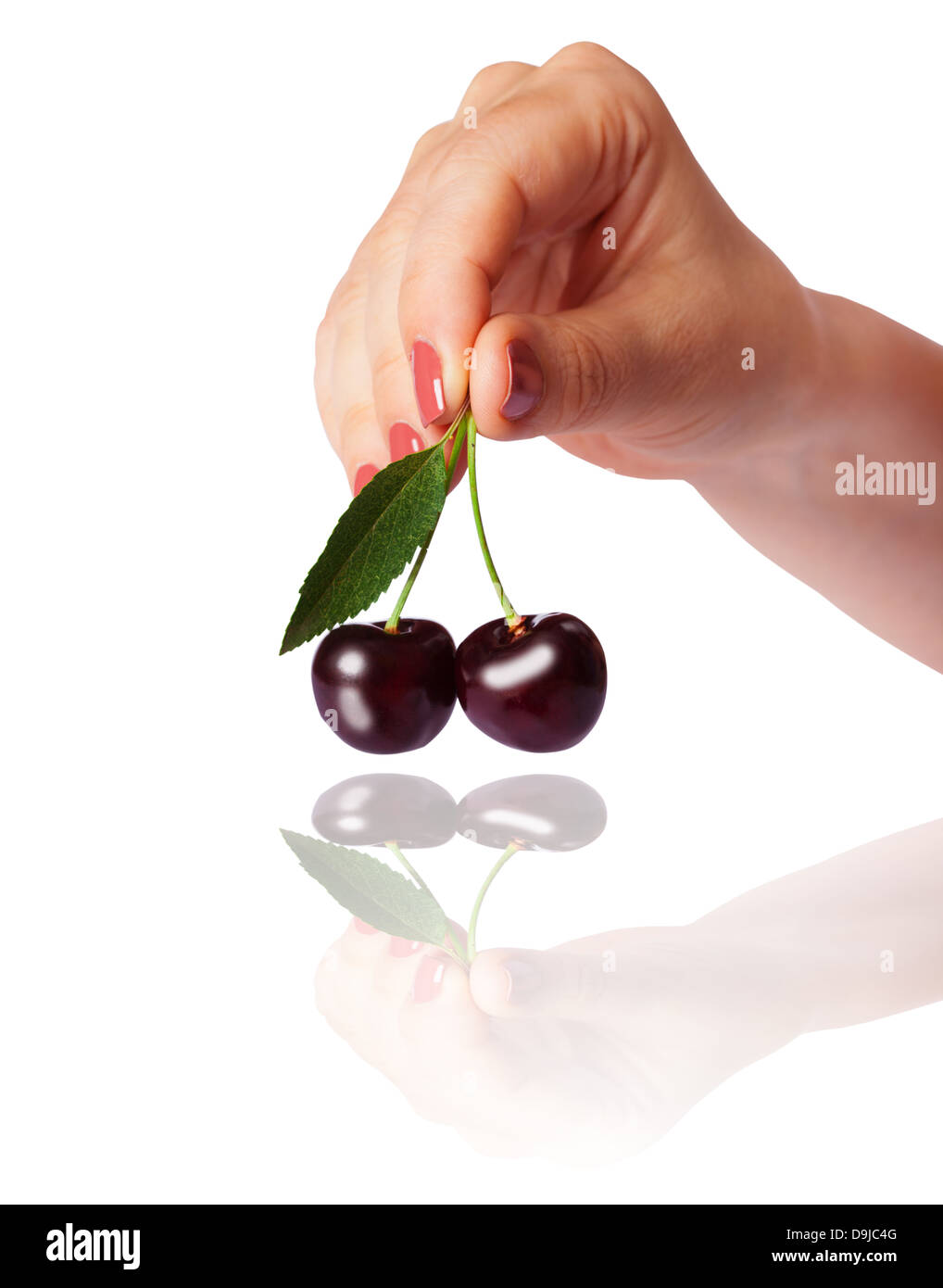 perfect sweet cherries with leaf isolated on white background Stock ...