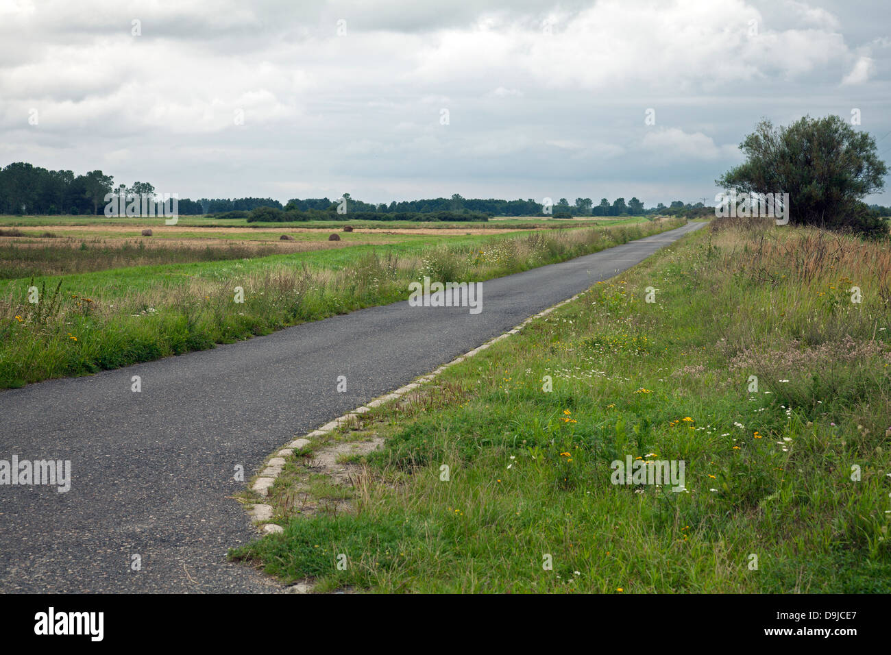 Empty country road at cloudy day Stock Photo - Alamy