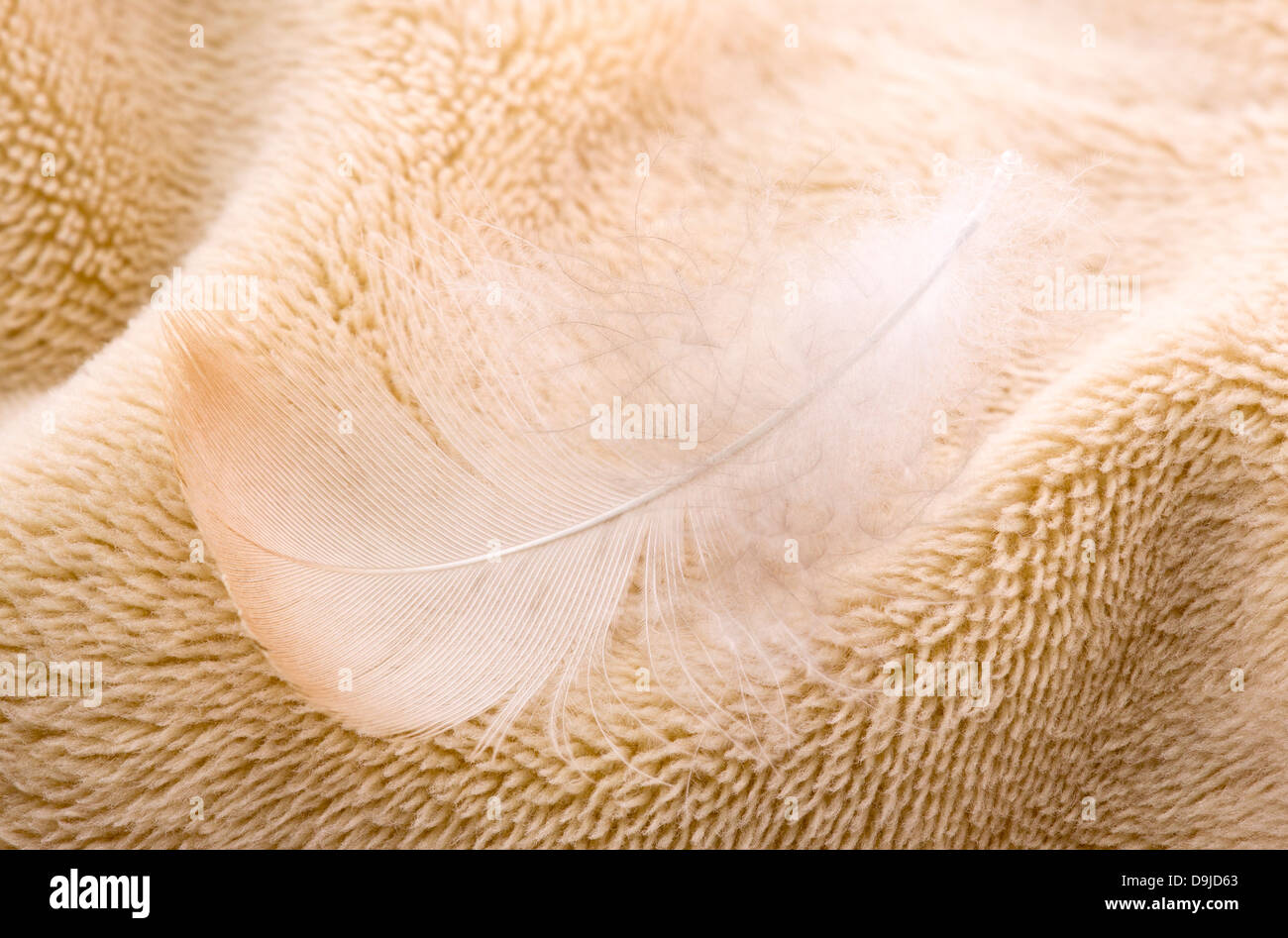 Light weight fabric hi-res stock photography and images - Alamy