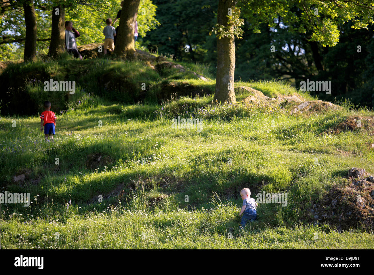 Boys playing in the sunshine at Grizedale forest campsite Stock Photo ...