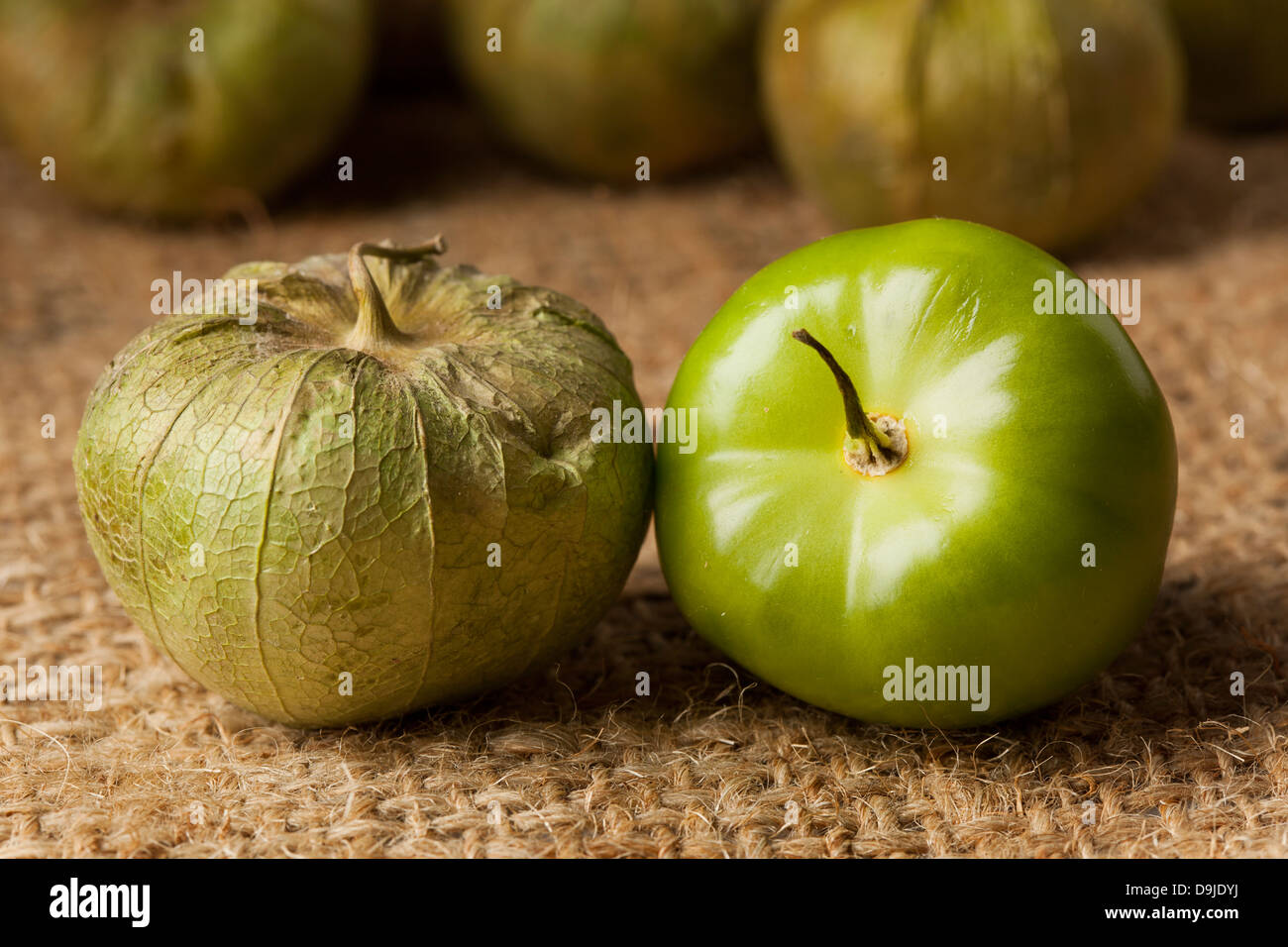 Fresh Green Organic Tomatillo with a husk Stock Photo - Alamy