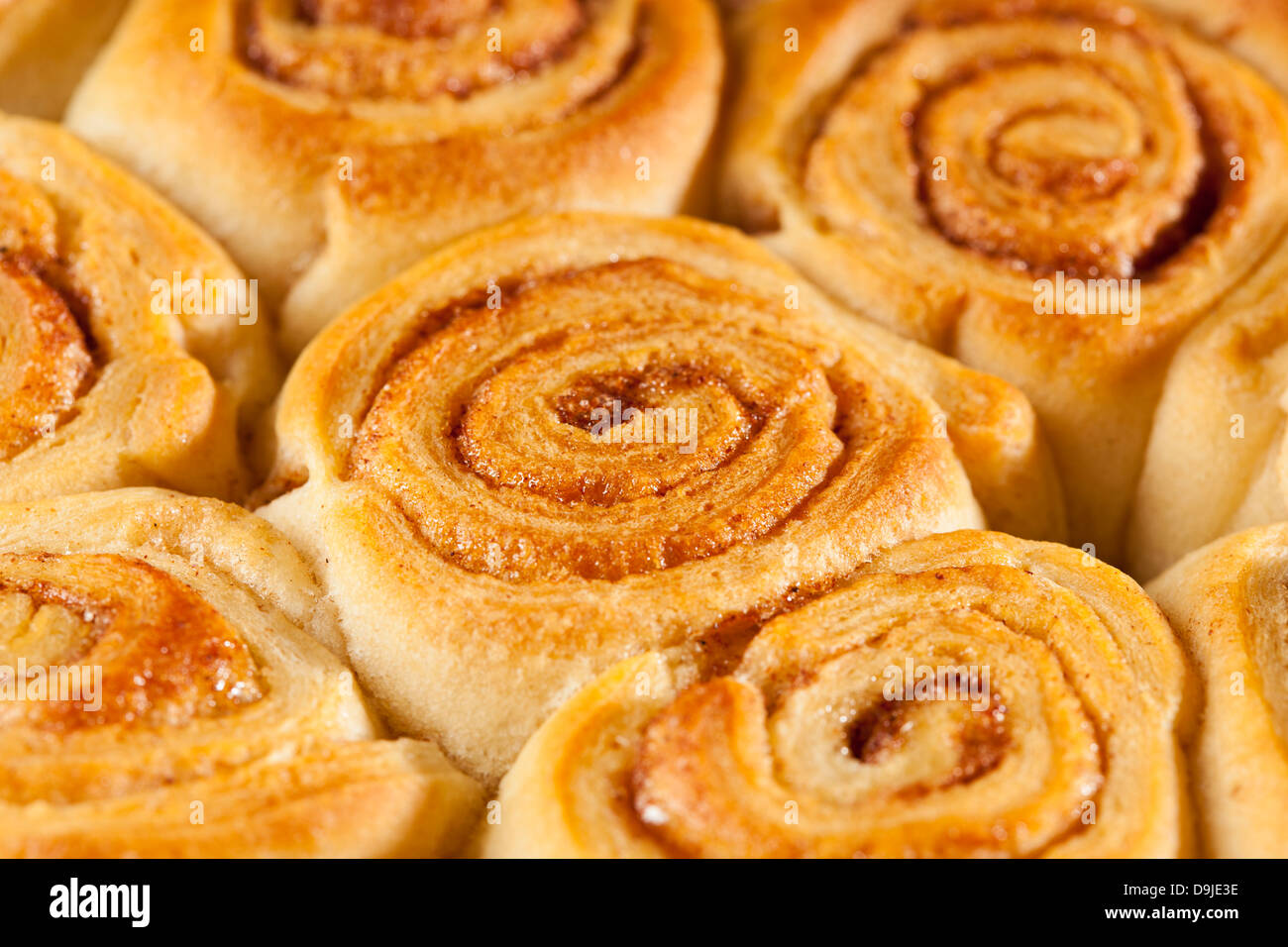 Homemade Mini Cinnamon Rolls in a pan Stock Photo - Alamy
