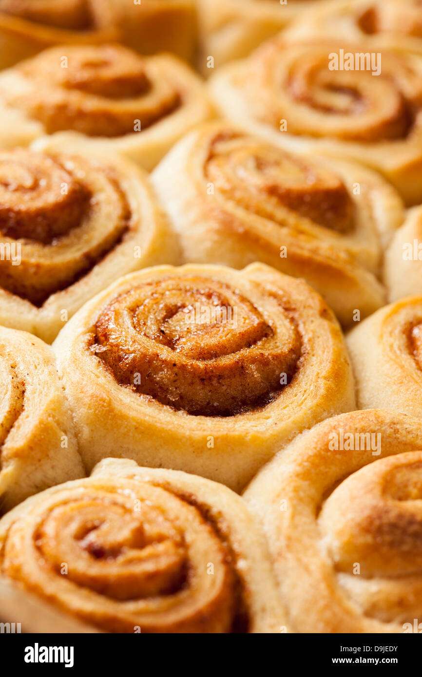 Homemade Mini Cinnamon Rolls in a pan Stock Photo - Alamy