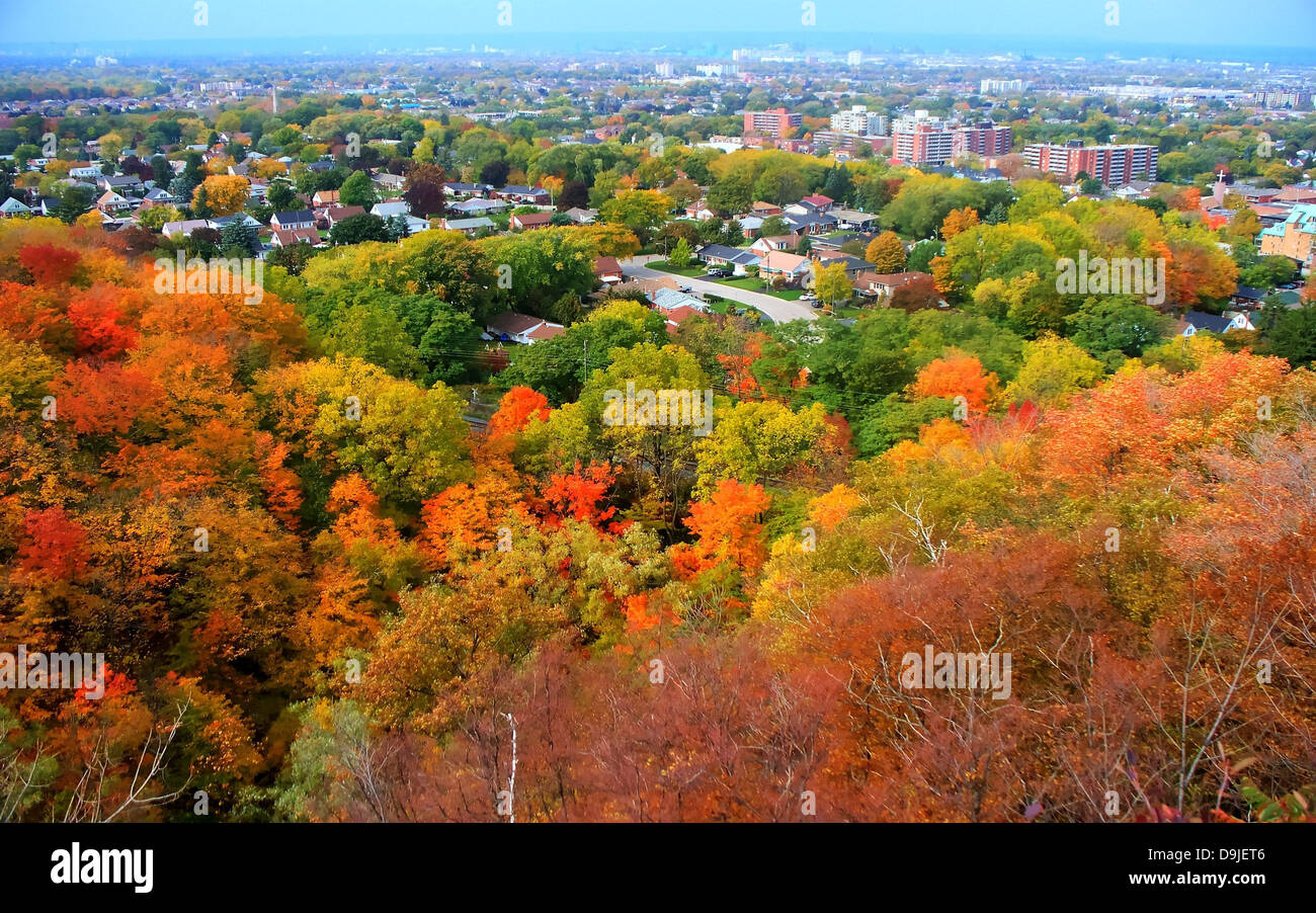 Showcasing vibrant yellows hi-res stock photography and images - Alamy