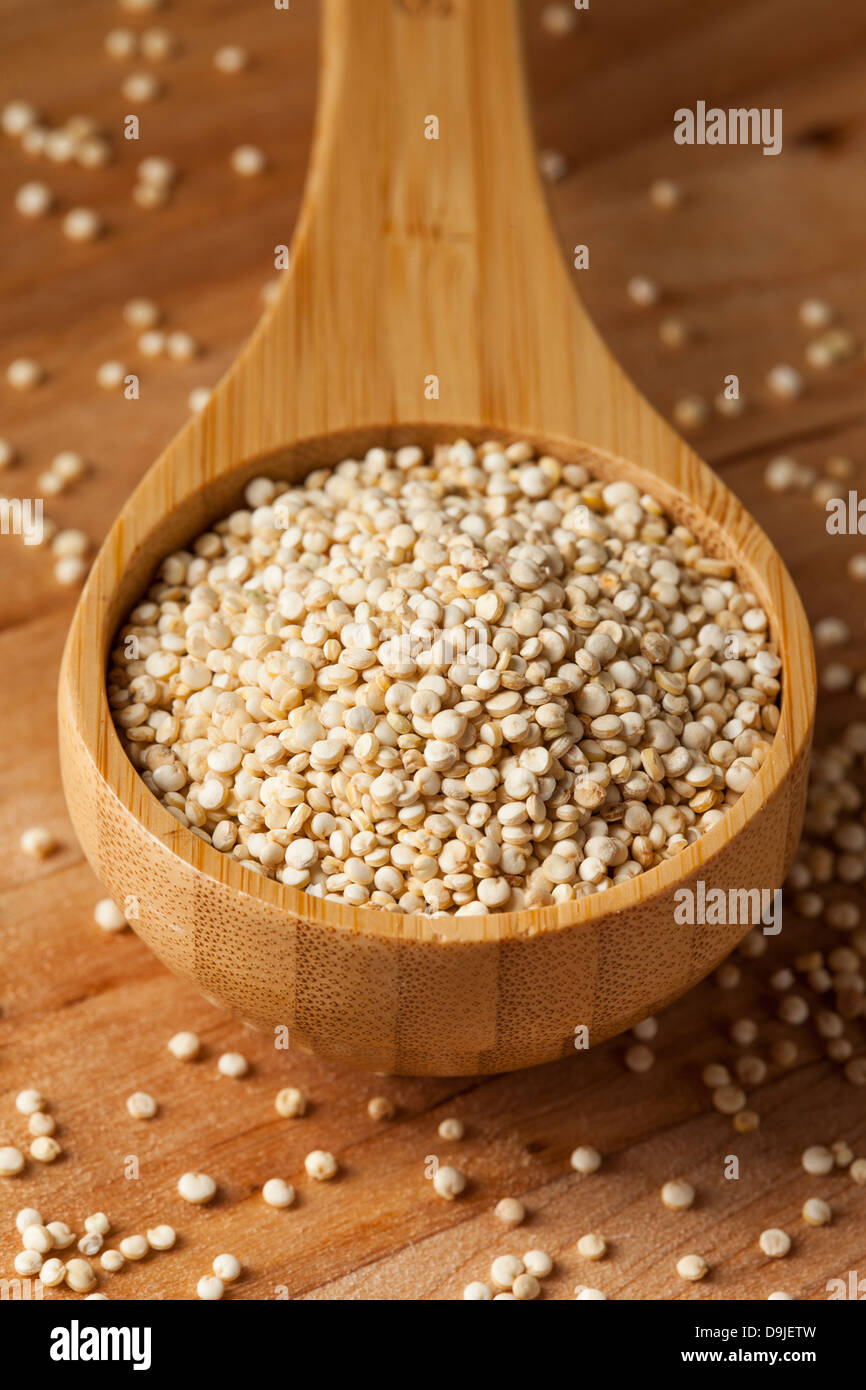 Raw Organic Quinoa Seeds against a background Stock Photo - Alamy