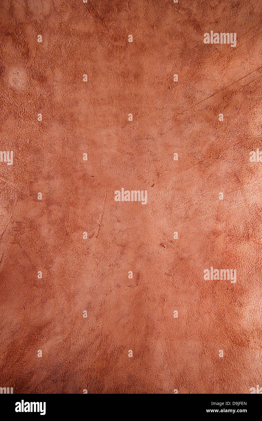 rawhide leather reverse side background stock photo image Stock Photo ...