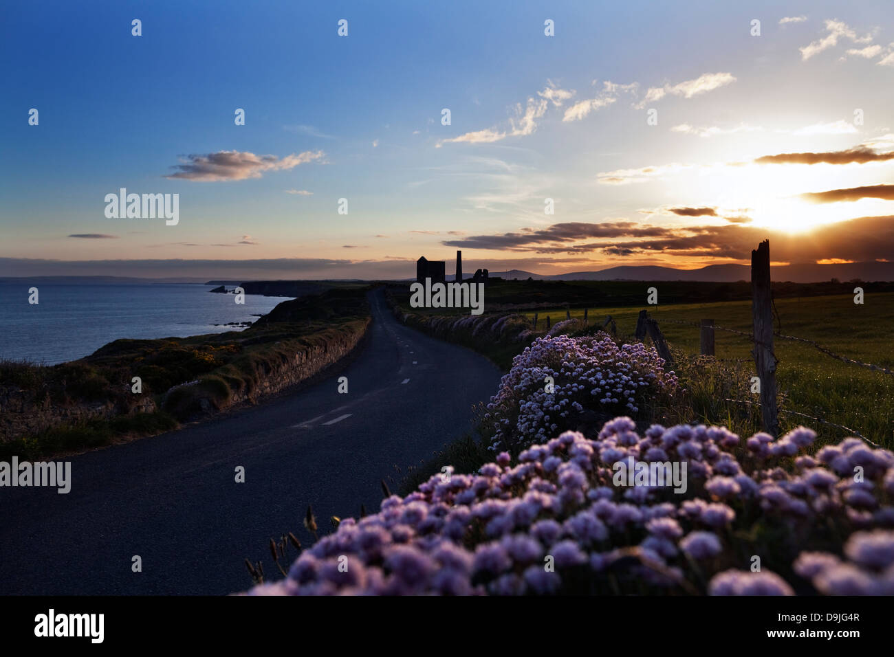Copper coast geopark hi-res stock photography and images - Alamy