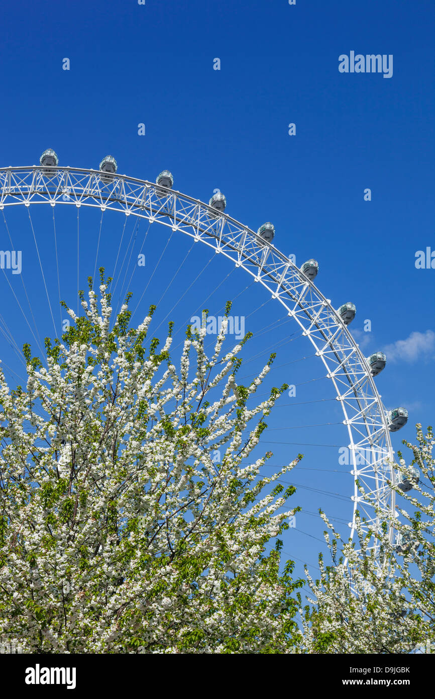 London eye spring blossom hi-res stock photography and images - Alamy