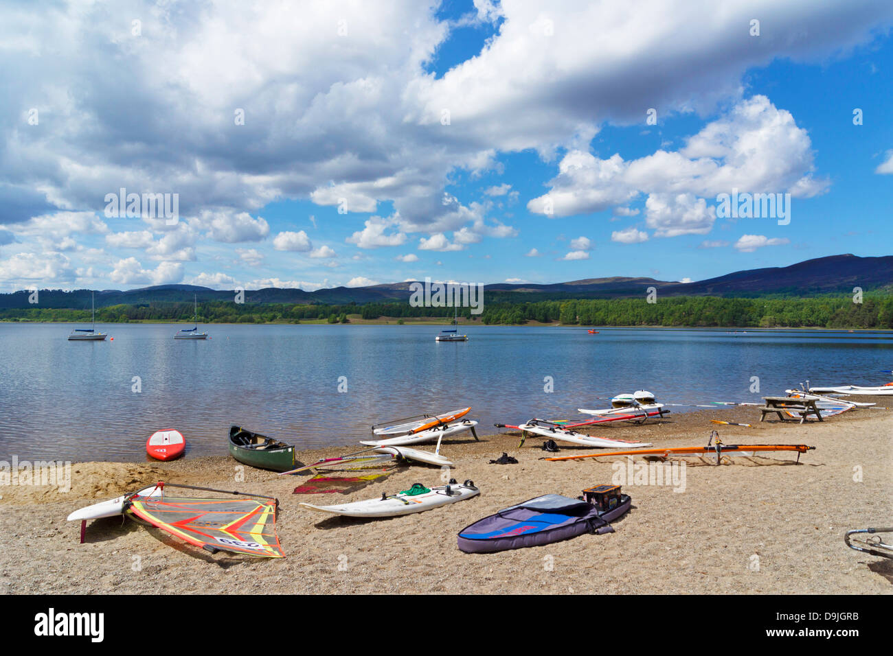 The shore of Loch Insh Stock Photo - Alamy