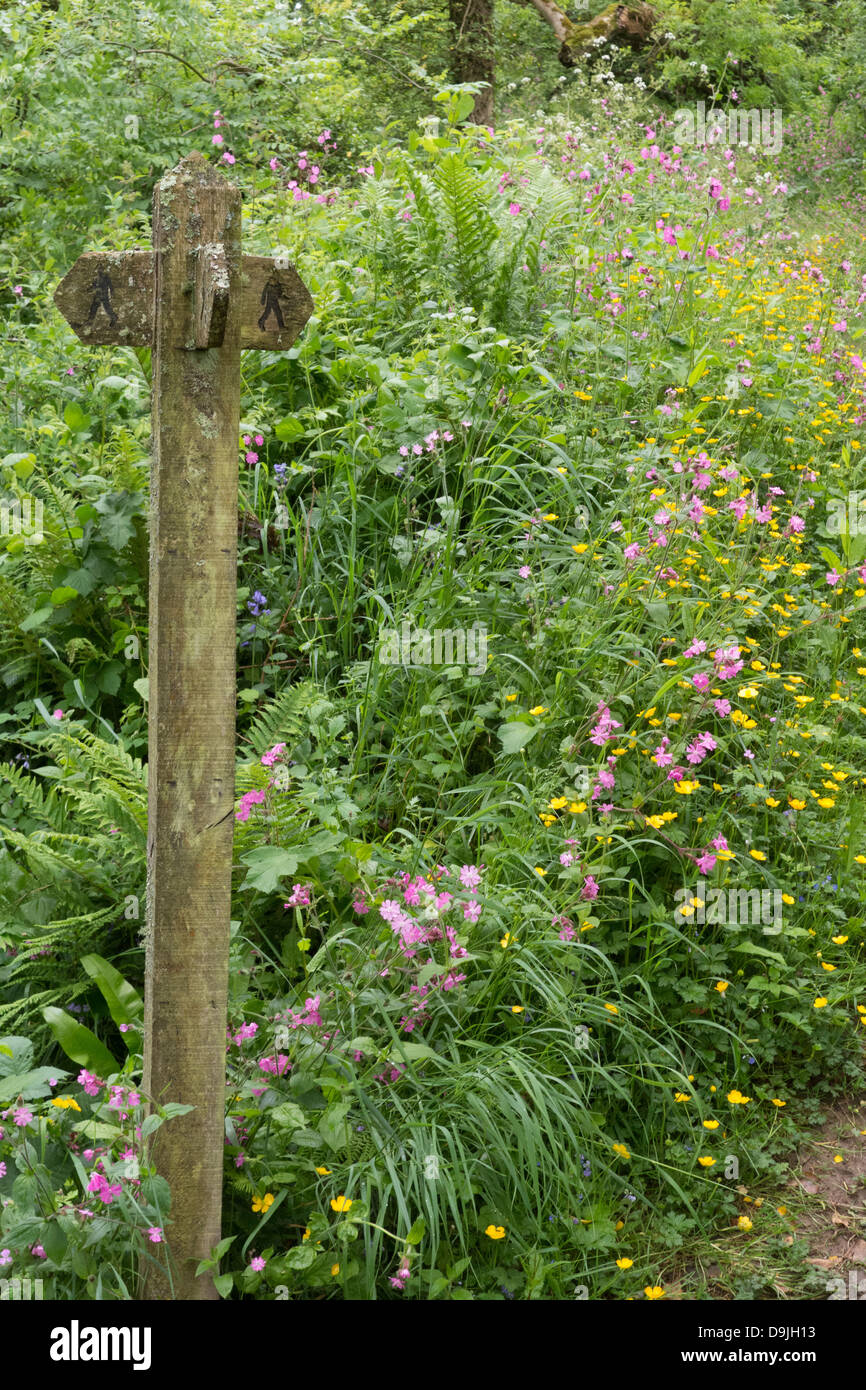 Welsh footpath signpost hi-res stock photography and images - Alamy