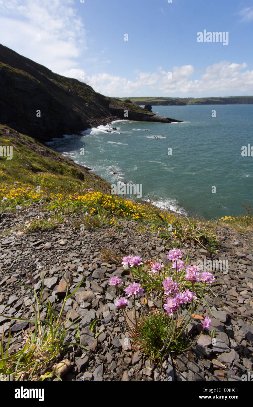 Broadhaven wales hi-res stock photography and images - Alamy