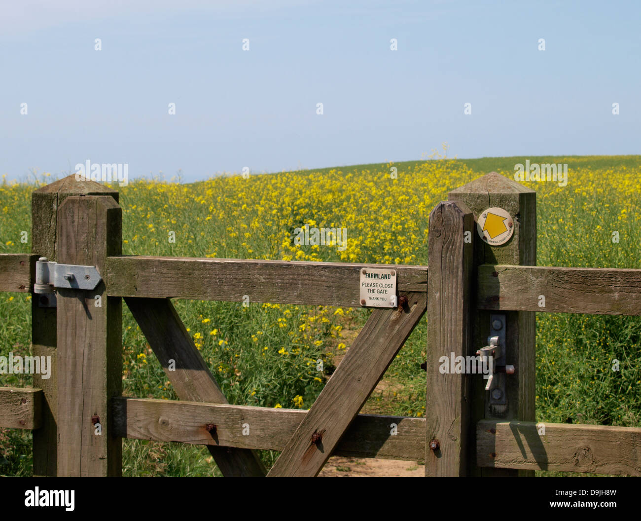 Fields cornwall hi-res stock photography and images - Alamy