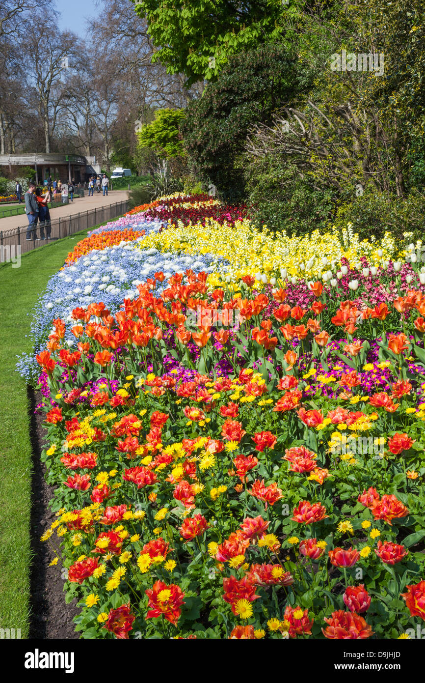 England, London, St James Park, Spring Flowers Stock Photo - Alamy