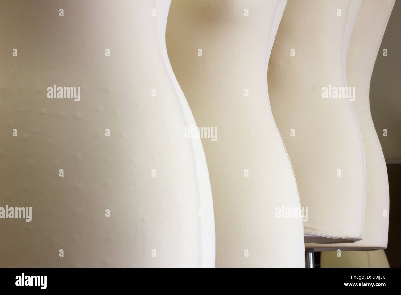 torso,mannequin, tailoring, tailors, sides, different angles, stand ...