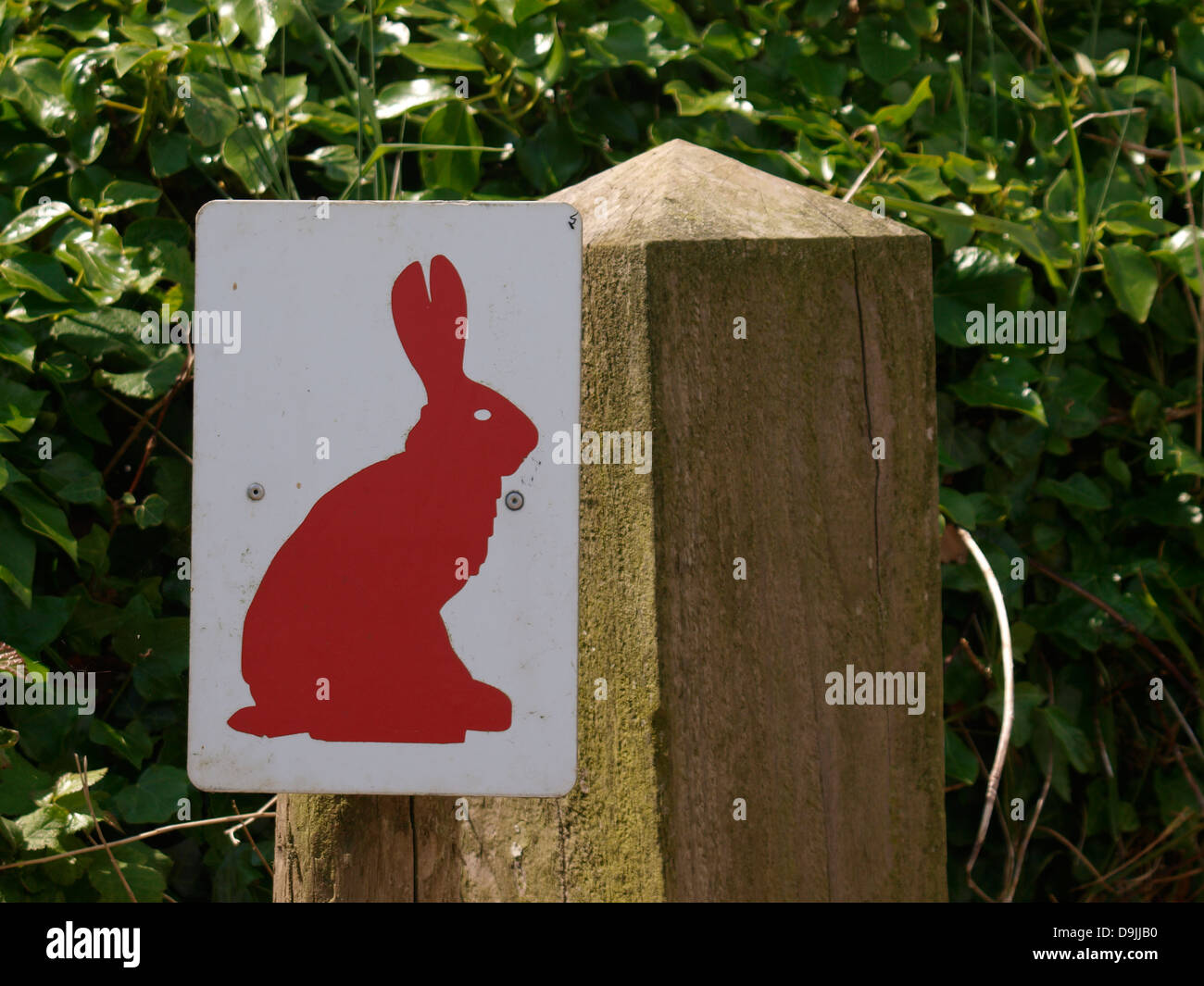 Sign with a picture of a rabbit on a public footpath, Cornwall, UK 2013 ...