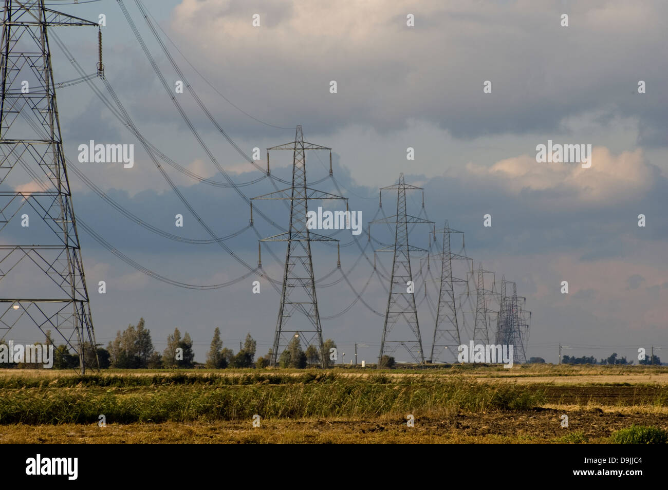 Electricity Pylons in the East Anglian Fens Stock Photo - Alamy