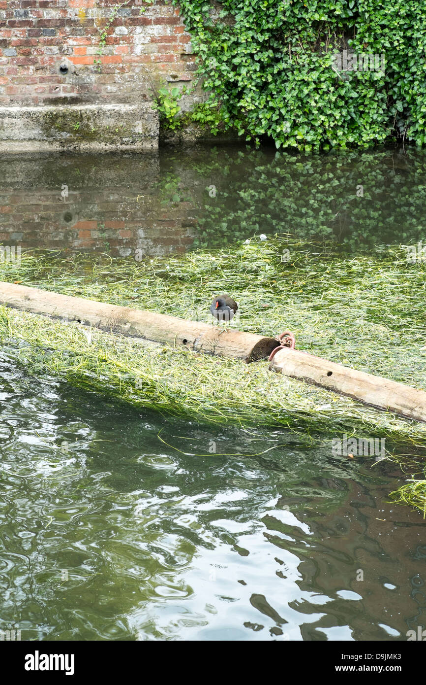 Boom Across River High Resolution Stock Photography and Images - Alamy