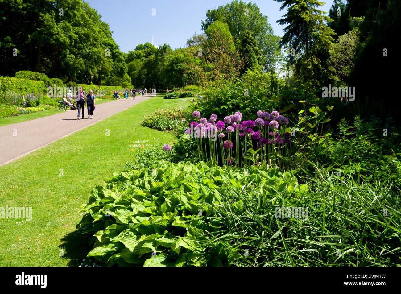 Bute park cardiff hi-res stock photography and images - Alamy