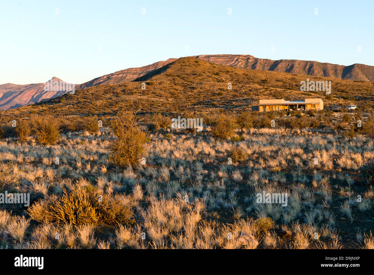 Karoo vegetation and lodge, Prince Albert, Western Cape, South Africa ...