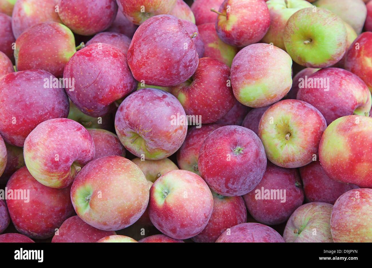 Red ripe apple background (Spartan apples Stock Photo - Alamy