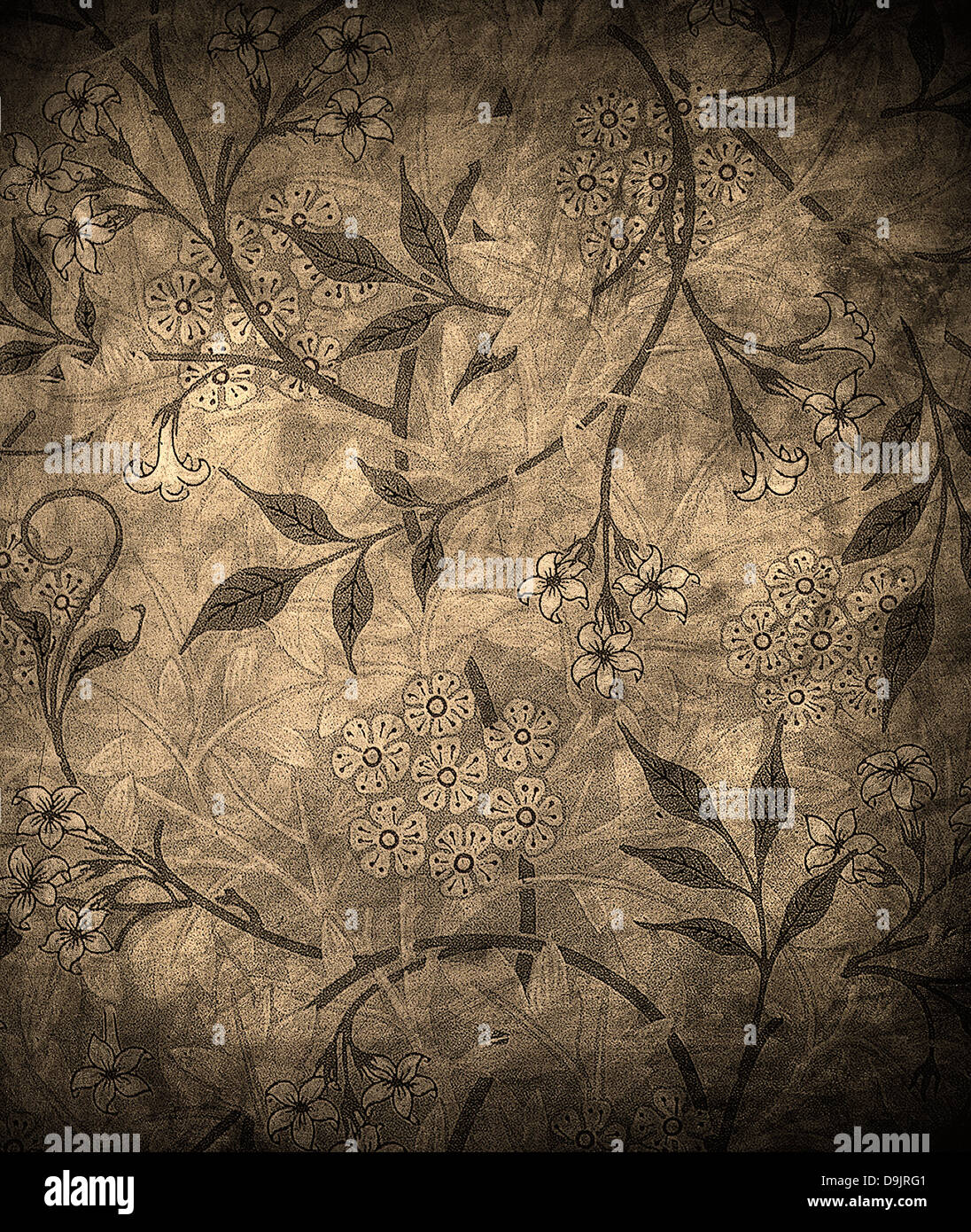 Detailed floral image hi-res stock photography and images - Alamy