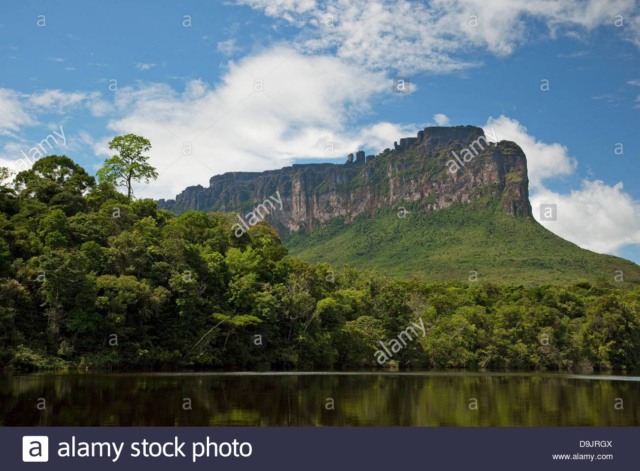 Auyantepui Stock Photos & Auyantepui Stock Images - Alamy