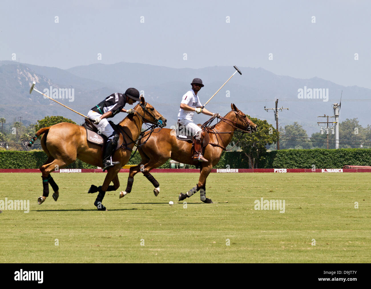 California polo hi-res stock photography and images - Alamy