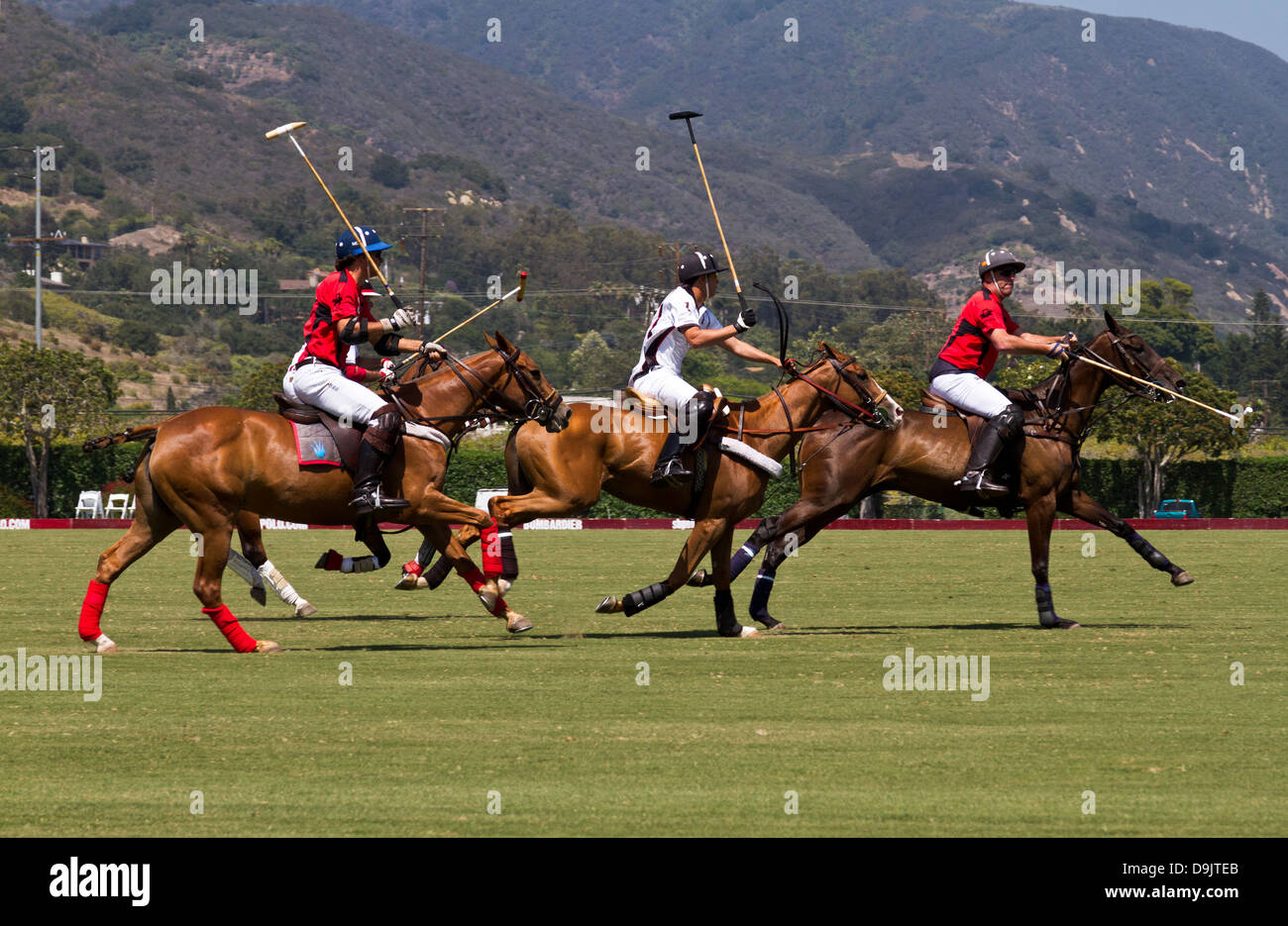 Polo players in action hi-res stock photography and images - Alamy