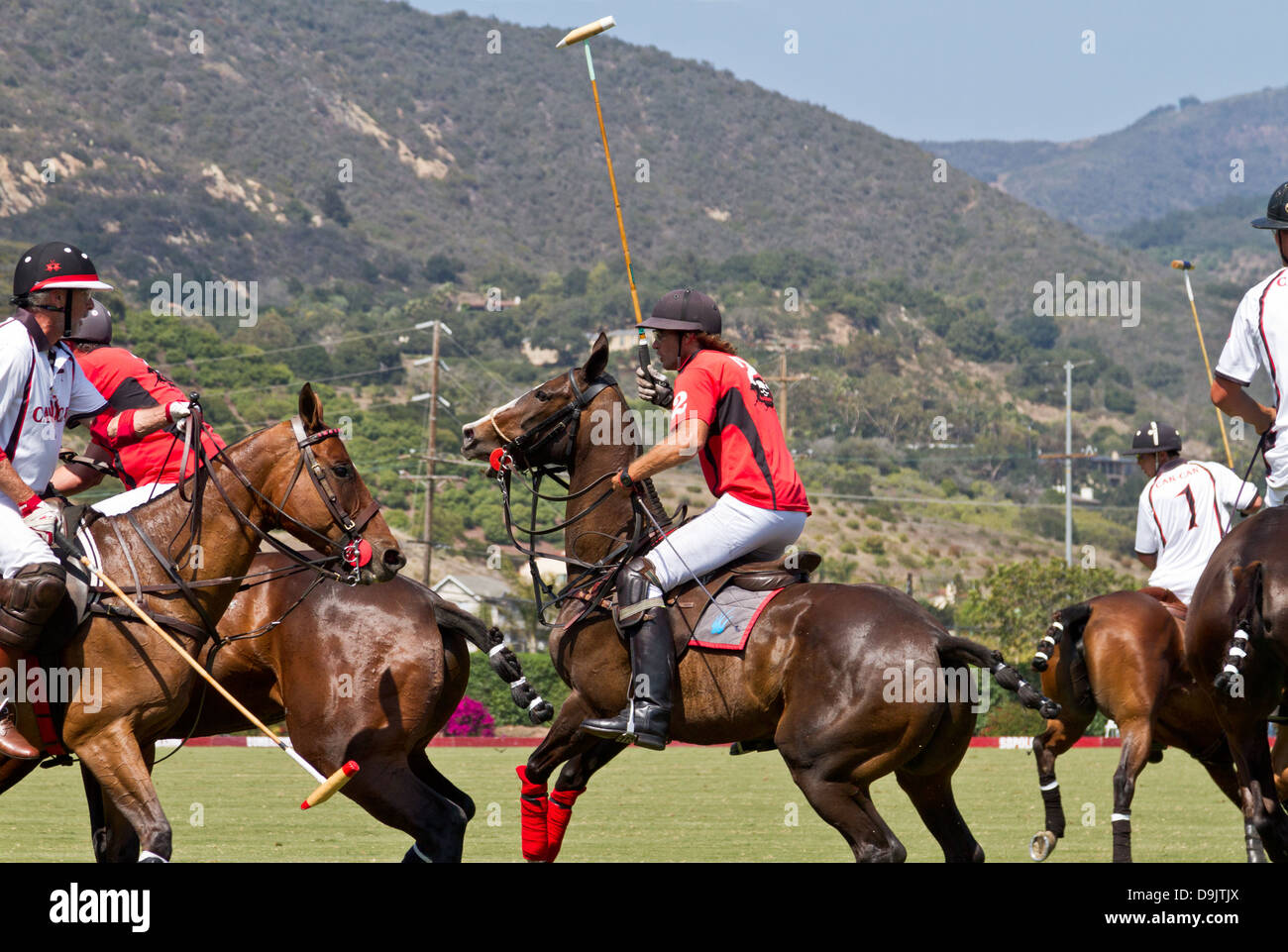 Polo players in action hi-res stock photography and images - Alamy